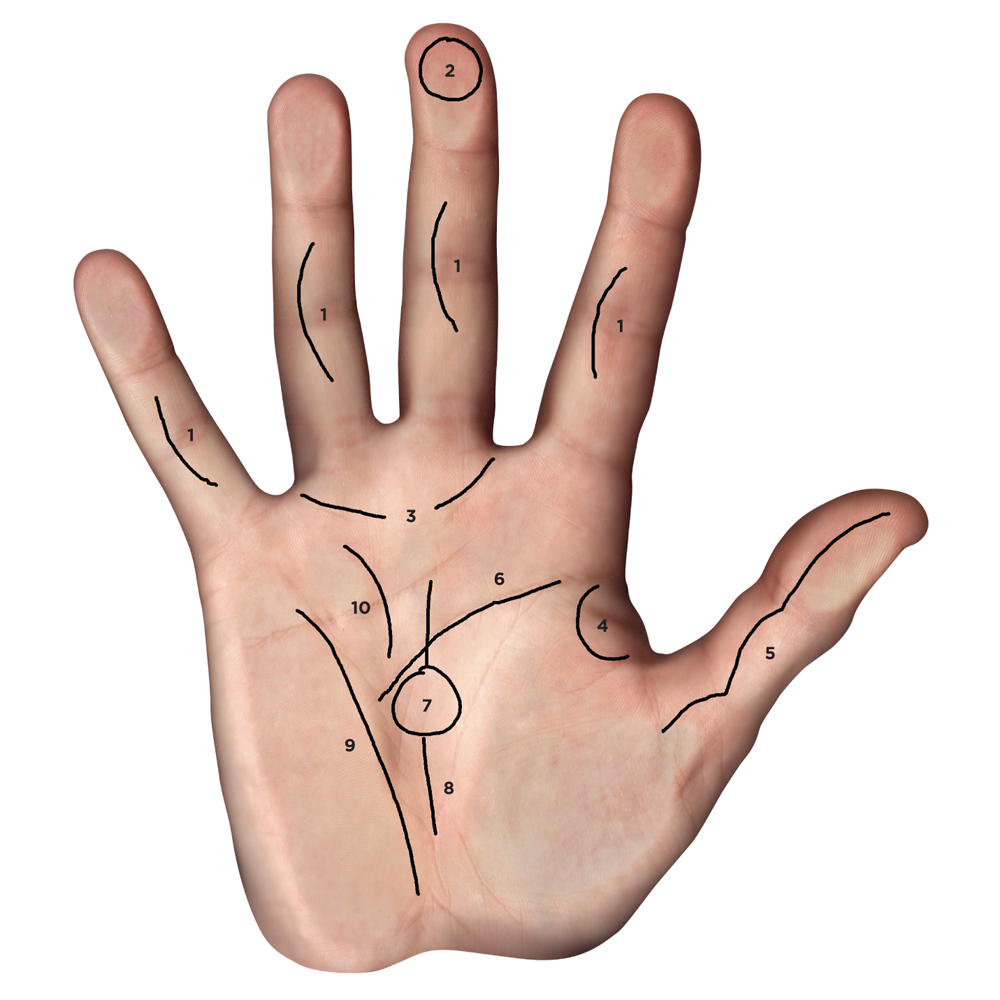 Zach Condon - SOMA Magazine